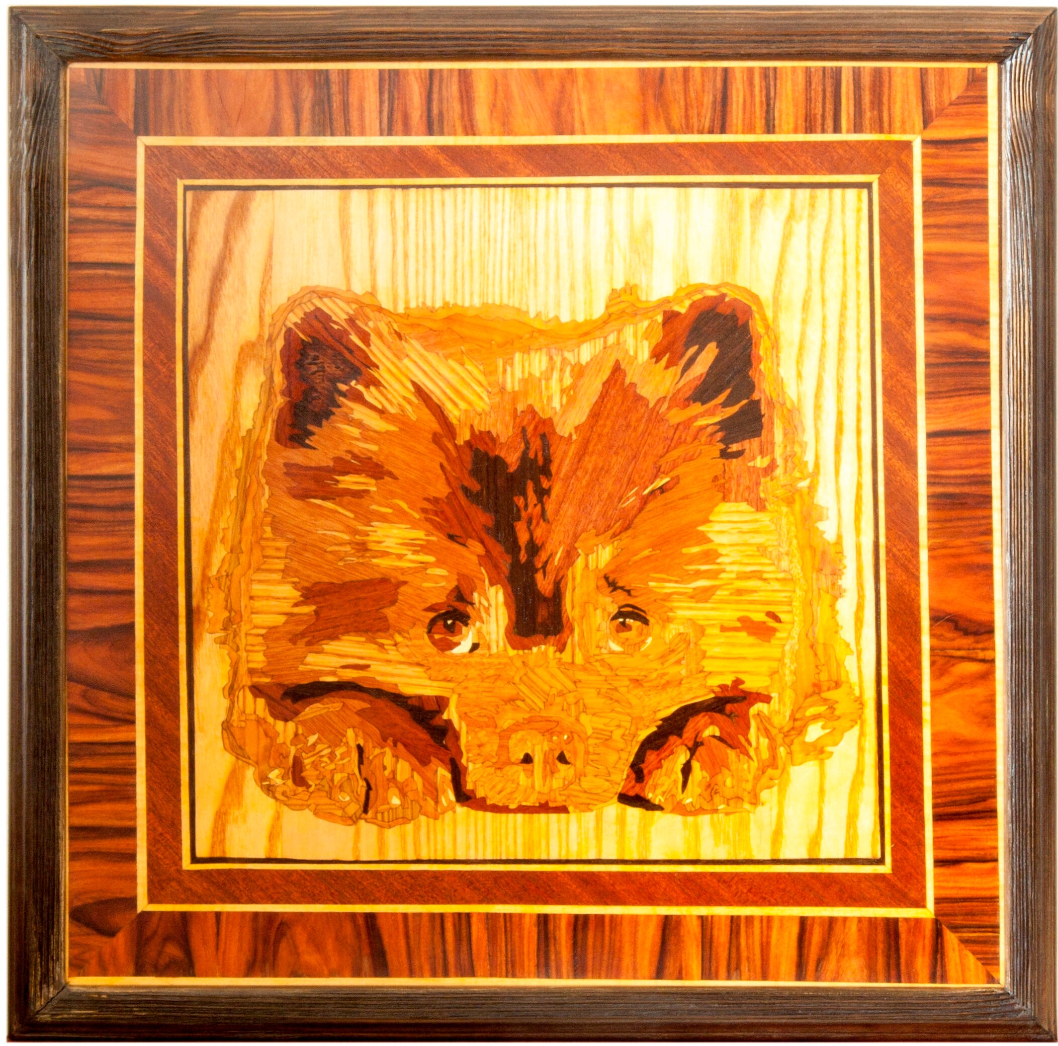 Pomeranian Puppy Dog Portrait Inlay Framed Mosaic Wood Panel - Etsy