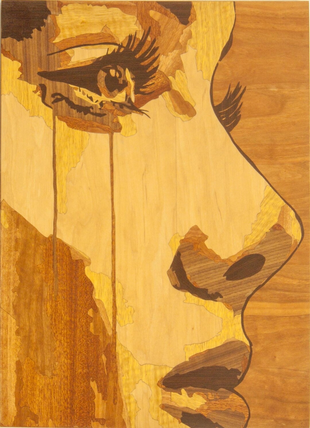 Wood Mosaic 22x16 Inlay FRAMED Girl Portrait Art Wall Home Decor Modern ...