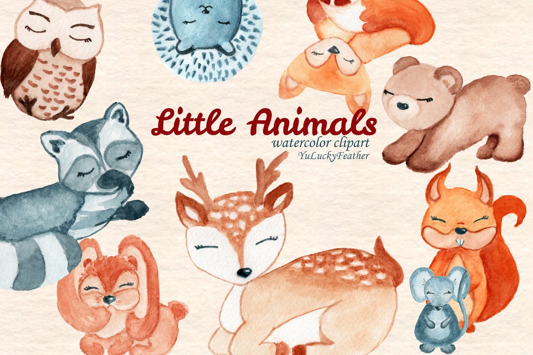 Baby Animals Cute Watercolor Clipart - 300dpi, PNG, Instant Download ...