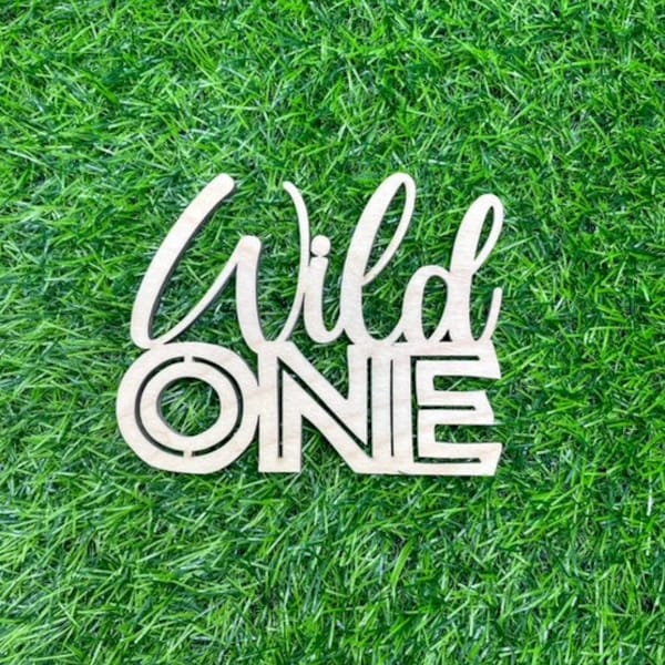 Wild One Backdrop - Etsy