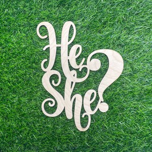 He or She Backdrop Wooden Sign, Gender Reveal Decor, Baby Shower Wood ...