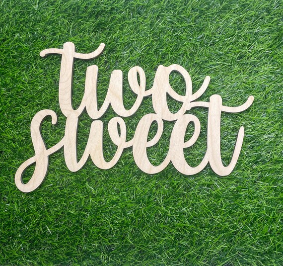 Two Sweet Sign Donut Party Backdrop Sign Two Year Old Girl - Etsy