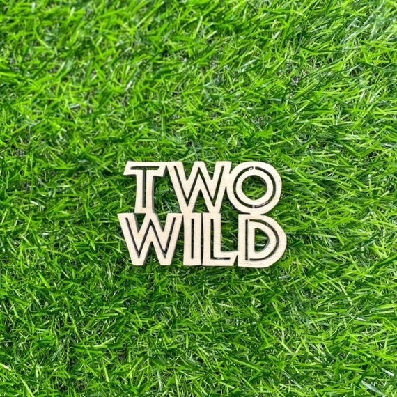 Two Wild Sign Party Backdrop Sign Boy Second Anniversary - Etsy