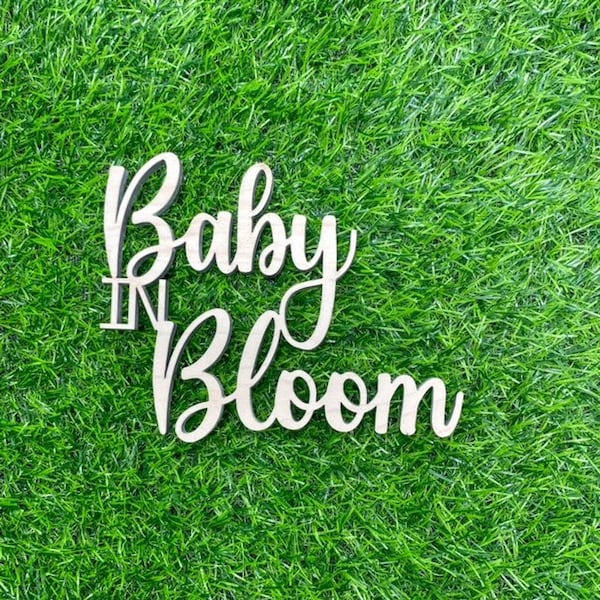 Baby in Bloom Backdrop - Etsy