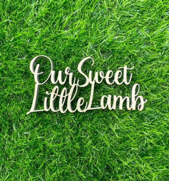 Our Sweet Little Lamb Sign Little Lamb Baby Shower - Etsy