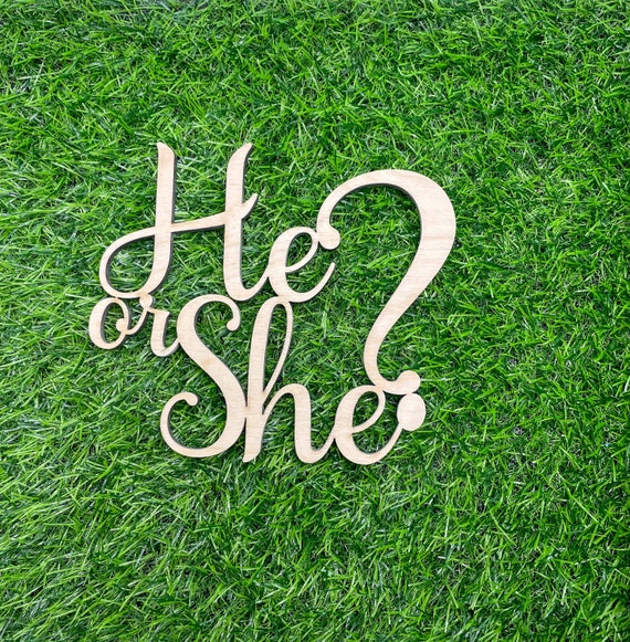 He or She Backdrop Wooden Sign Gender Reveal Decor Baby - Etsy
