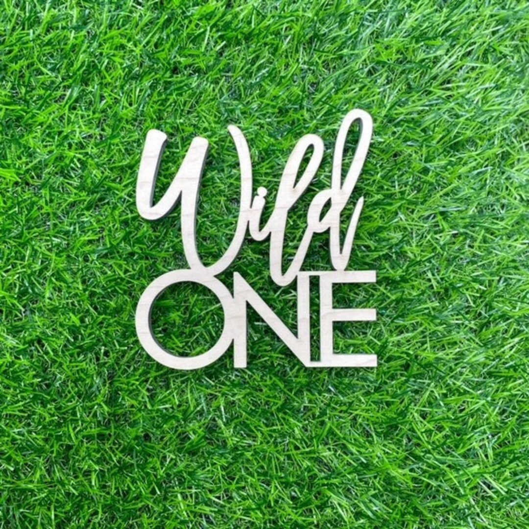 Wild One Sign, Party Backdrop Sign, Boy First Anniversary Banner ...