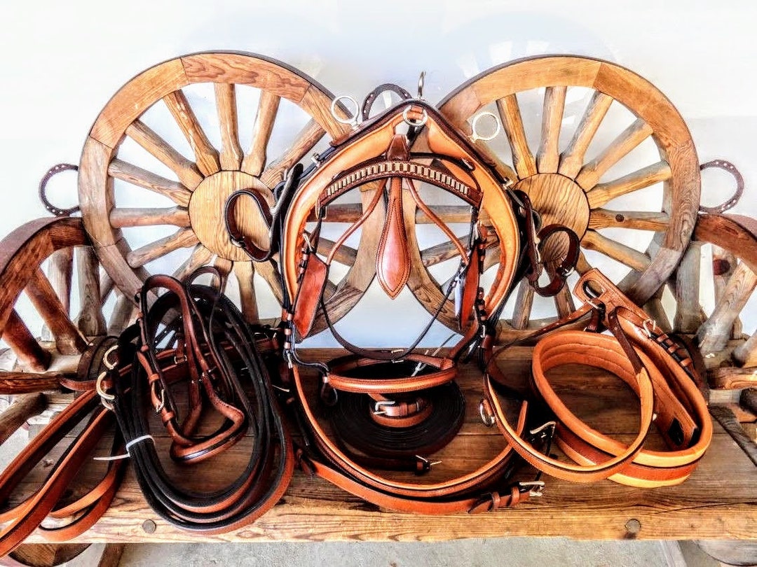 Horse Cart Harness, Two Tone Leather, Single Driving Diplomat Harness ...