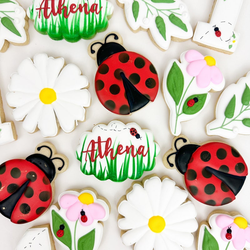 Ladybug Cookies - Etsy