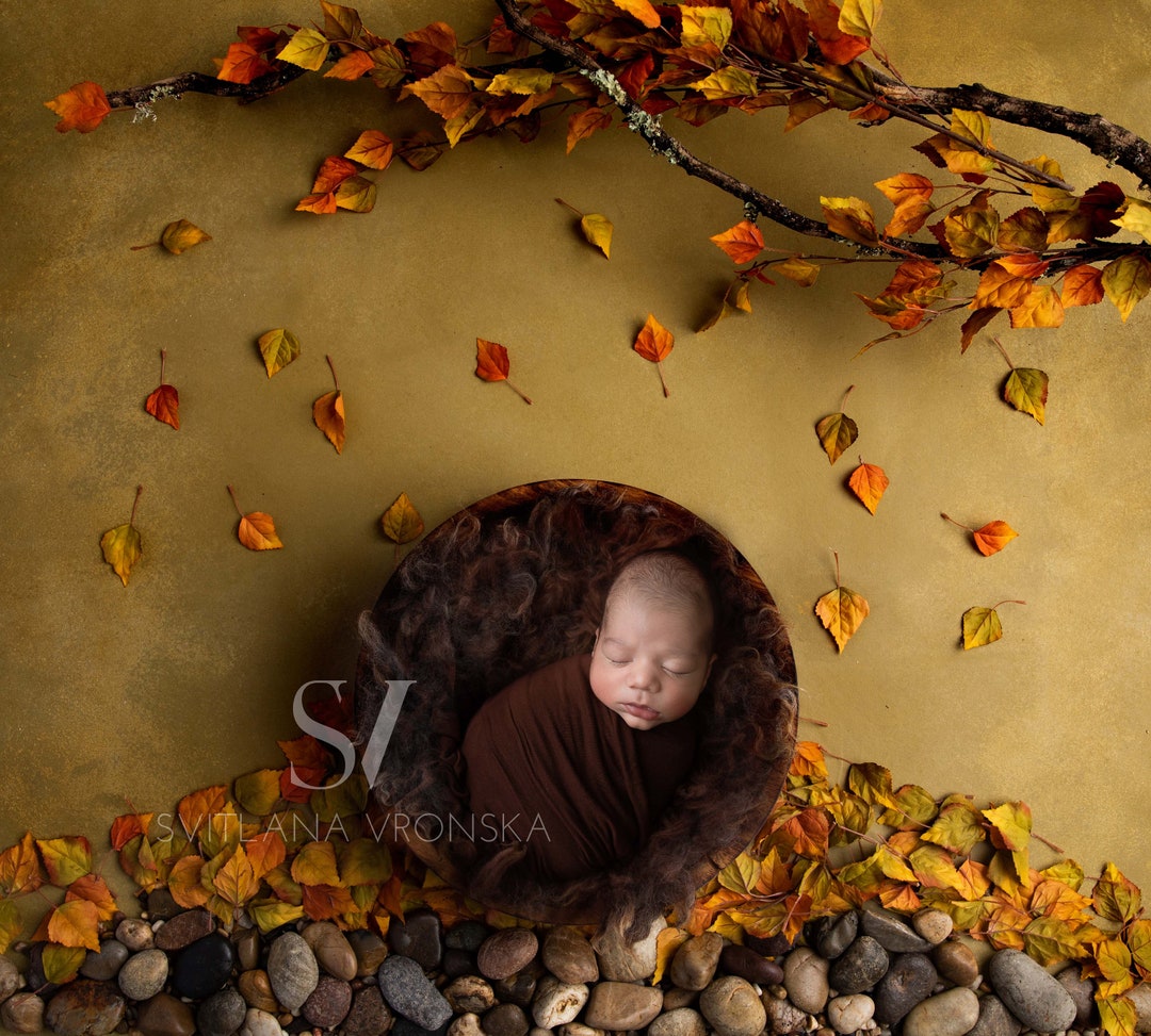 Newborn Digital Backdrop Falling Leaves of Fall Seasonal Backdrop ...