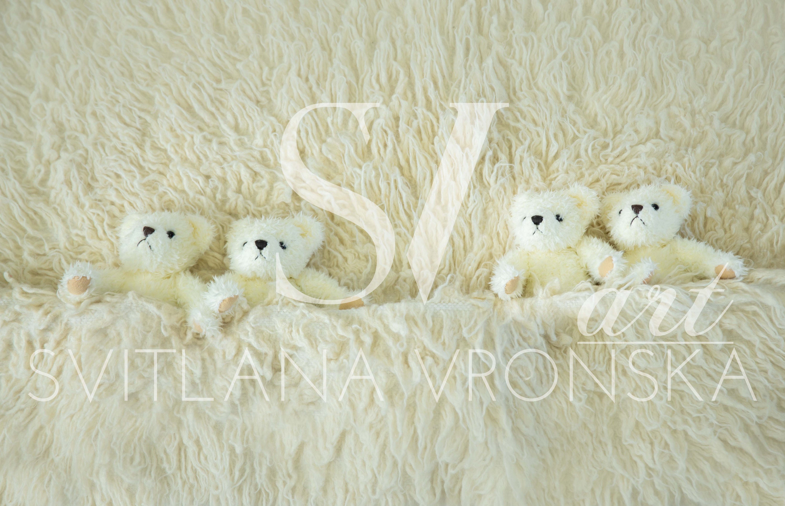 Teddy Bear Digital backdrop Newborn Digital Background White | Etsy