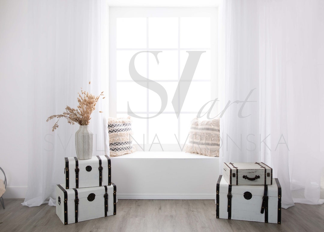 Digital Backdrop French Window Backdrop for Photography Composites ...