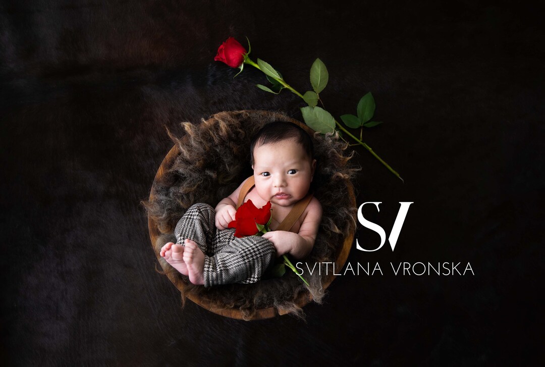 Newborn Digital Backdrop Red Rose on a Dark Background Newborn Digital ...