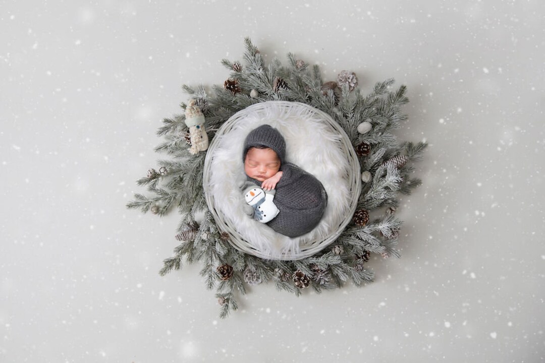 Newborn Digital Backdrop Winter Baby Nest Newborn Photography Prop ...