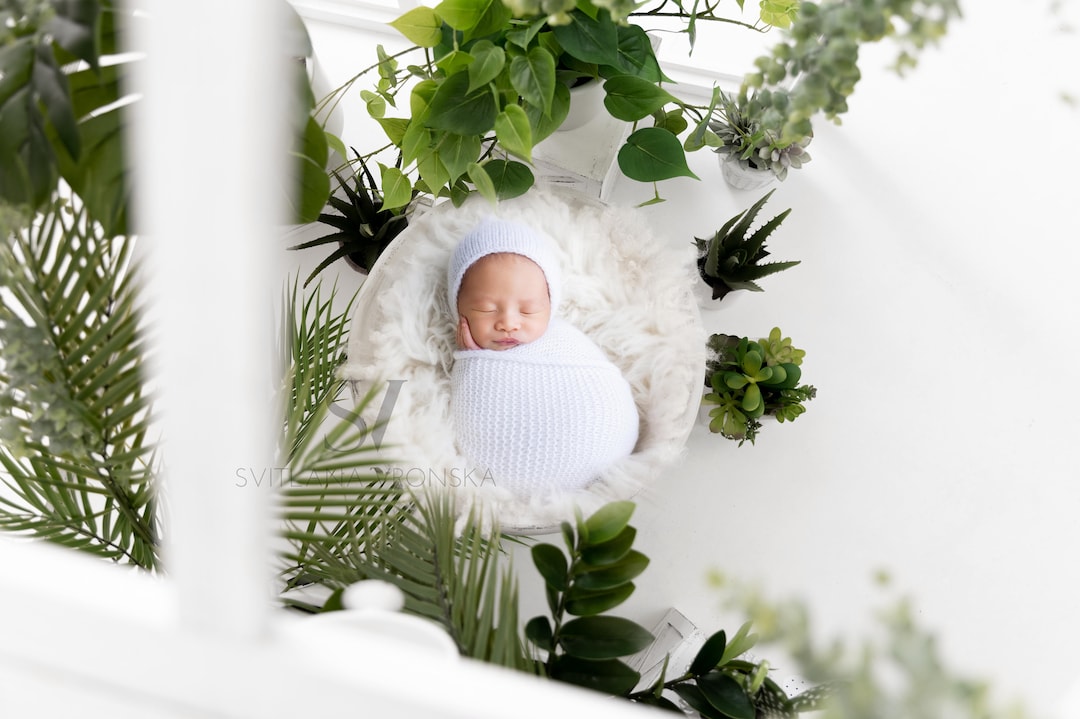 Newborn Digital Backdrop Baby Nest in the Garden Newborn Digital ...