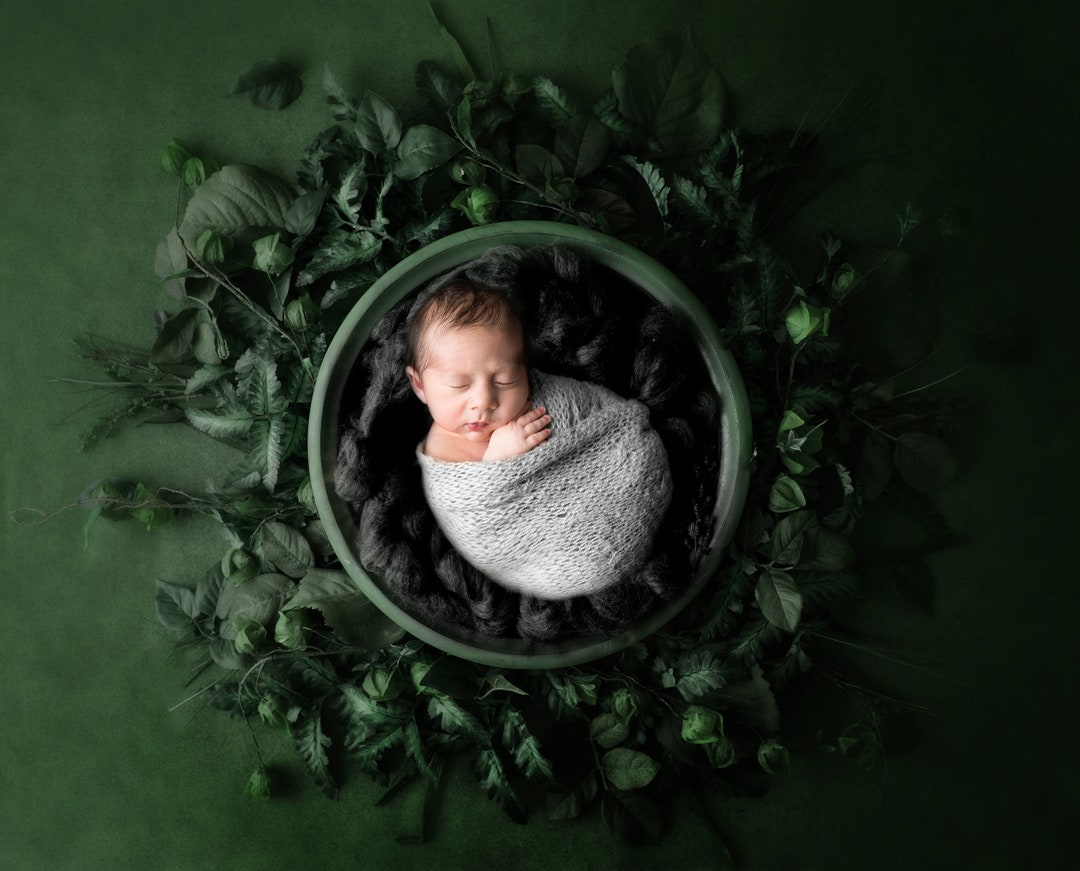 Newborn Photography Digital Backdrop, Foresty Dream Baby Nest, Dark ...