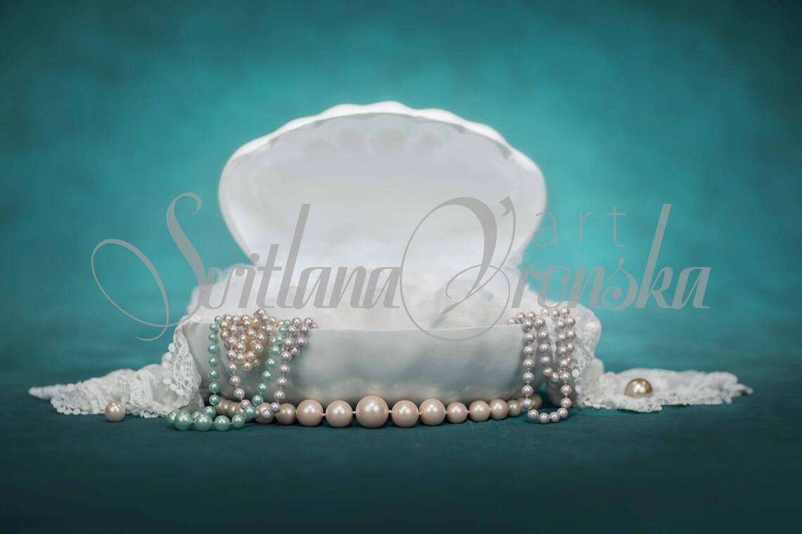White Clam Shell With Pearls Digital Backdrop - Digital Background ...