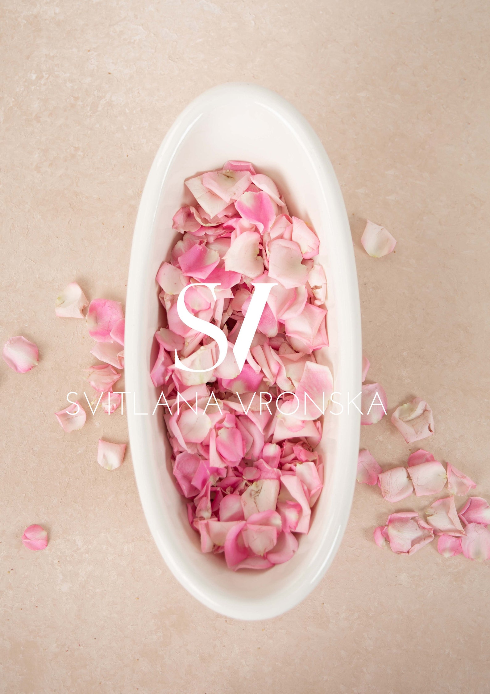 Newborn Digital Backdrop Pink Rose Petals Newborn Digital - Etsy