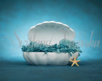 Clam Digital Background - Etsy