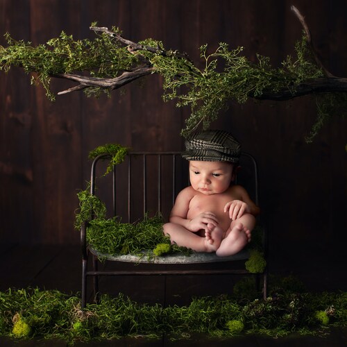 Digital Background Digital Backdrop Digital Prop Newborn - Etsy