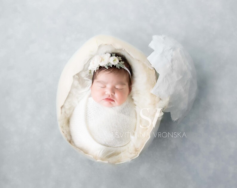 Newborn Egg Prop Digital Newborn Backdrop Newborn Digital - Etsy