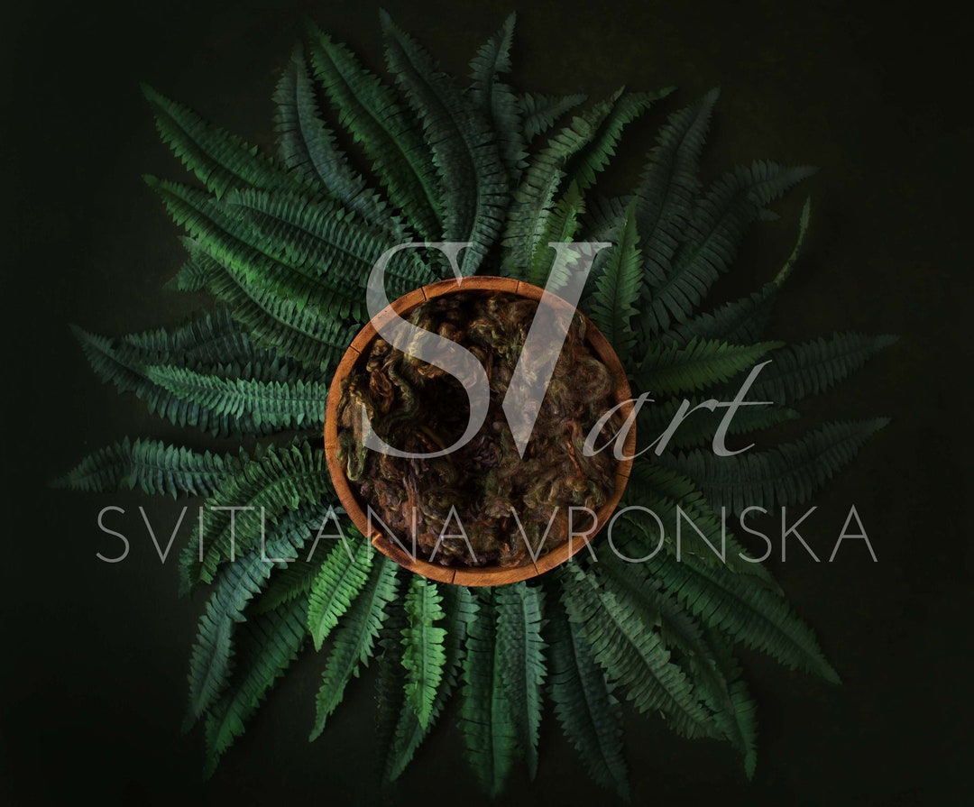 Digital Backdrop Newborn Digital Background, Earthy Tones Prop Digital ...