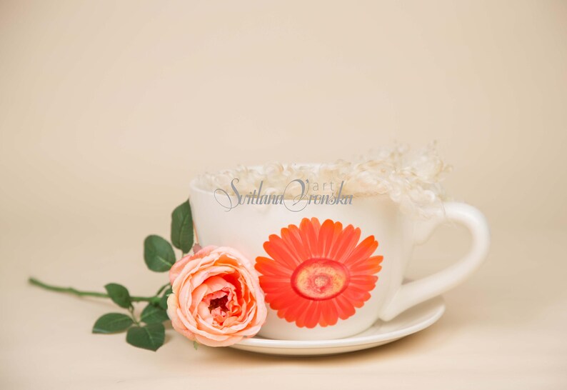 Tea Cup Digital Backdrop for Newborn Composite Newborn Photography ...