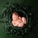 Newborn Photography Digital Backdrop, Foresty Dream Baby Nest, Dark ...