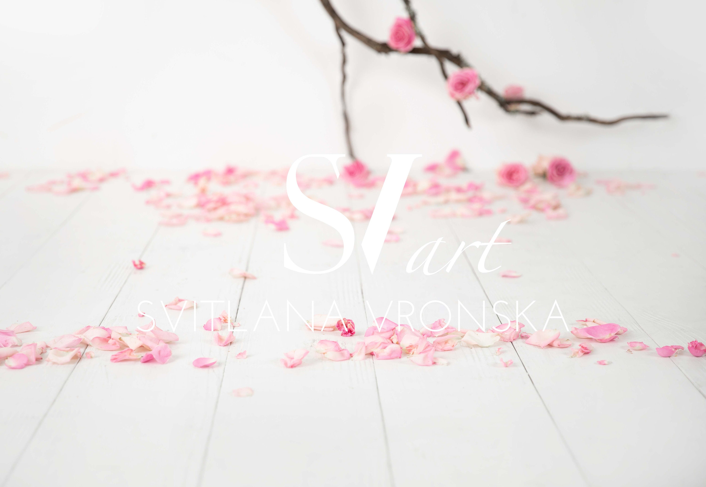 Digital Backdrop for Infants and Toddlers Sitters Digital | Etsy