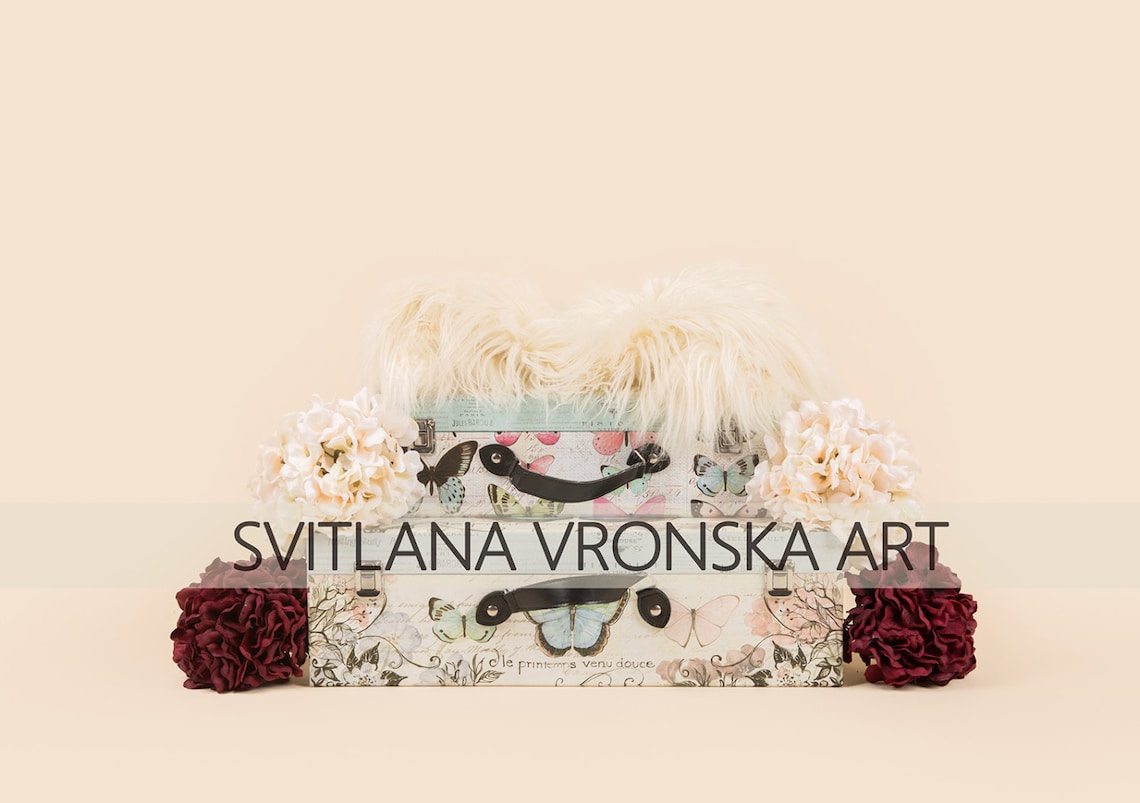 Digital Backdrop Set of 5 Digital Props for Newborn Digital - Etsy