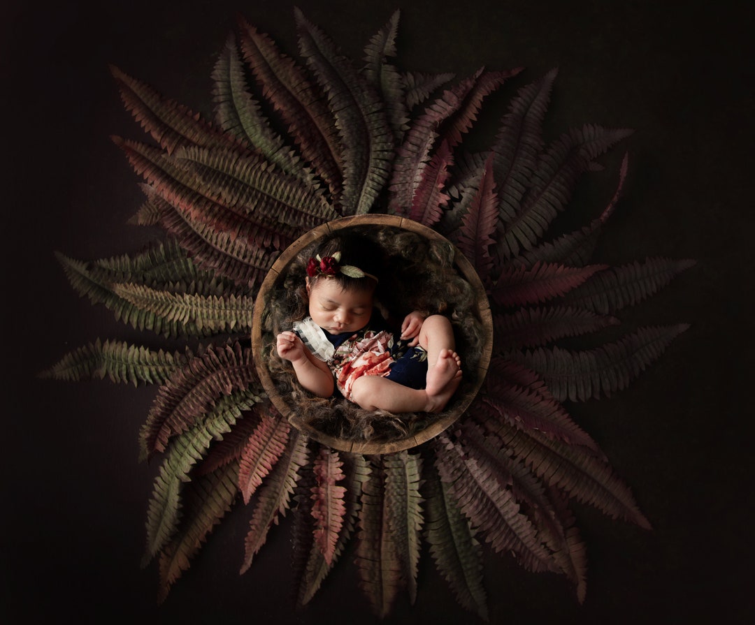 Newborn Digital Backdrop, Close With Nature Brown Earthy Tones, Newborn ...