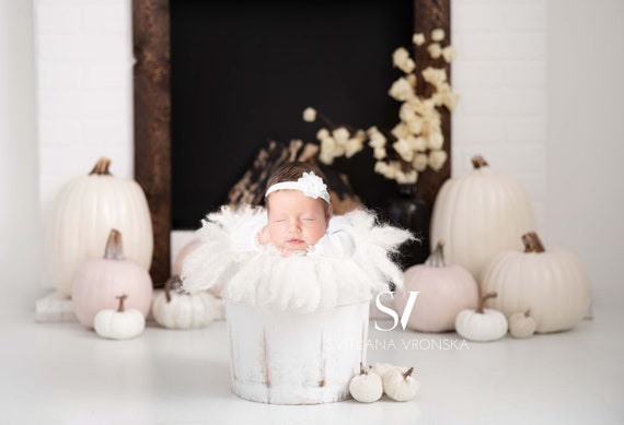 Newborn Digital Backdrop Fall Photo Backdrop Thanksgiving | Etsy