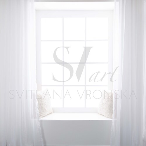 French Window Digital Backdrop - Etsy