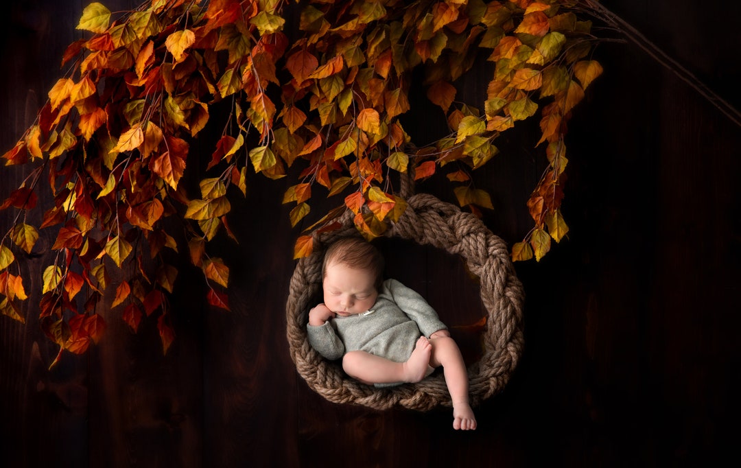 Newborn Digital Backdrop Hanging Swing Autumn/fall Backdrop for Newborn ...