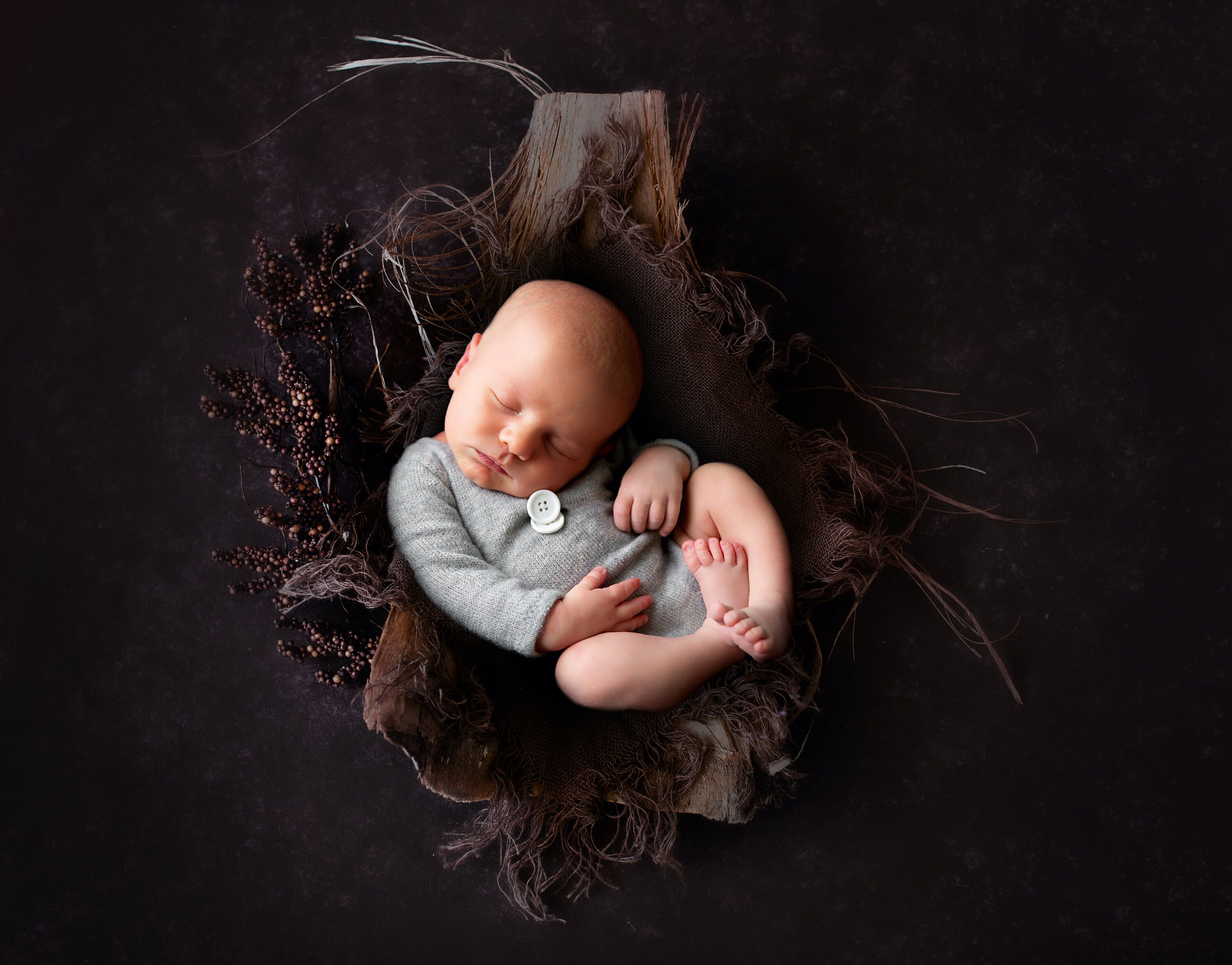 Digital Background Newborn Digital Backdrop for Newborn Photo Composite ...