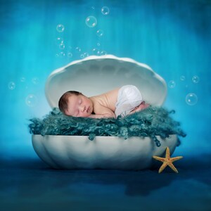 Beautiful Underwater Pearl Clam Shell With Sunrays Newborn Digital ...