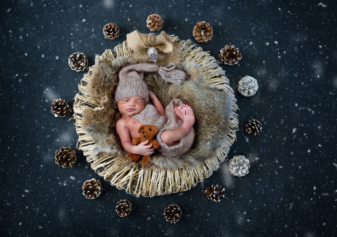 Christmas Nest Newborn Digital Backdrop Newborn Photography Background ...