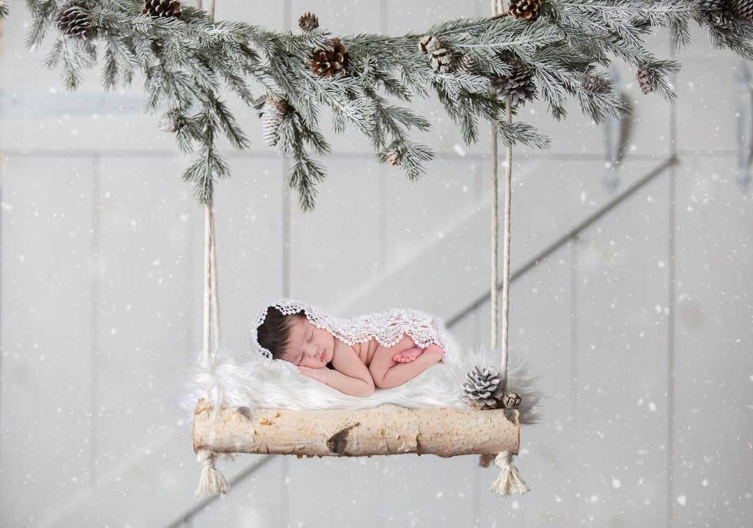 Digital Backdrop Newborn Winter Swing on a Pine Branch Newborn ...