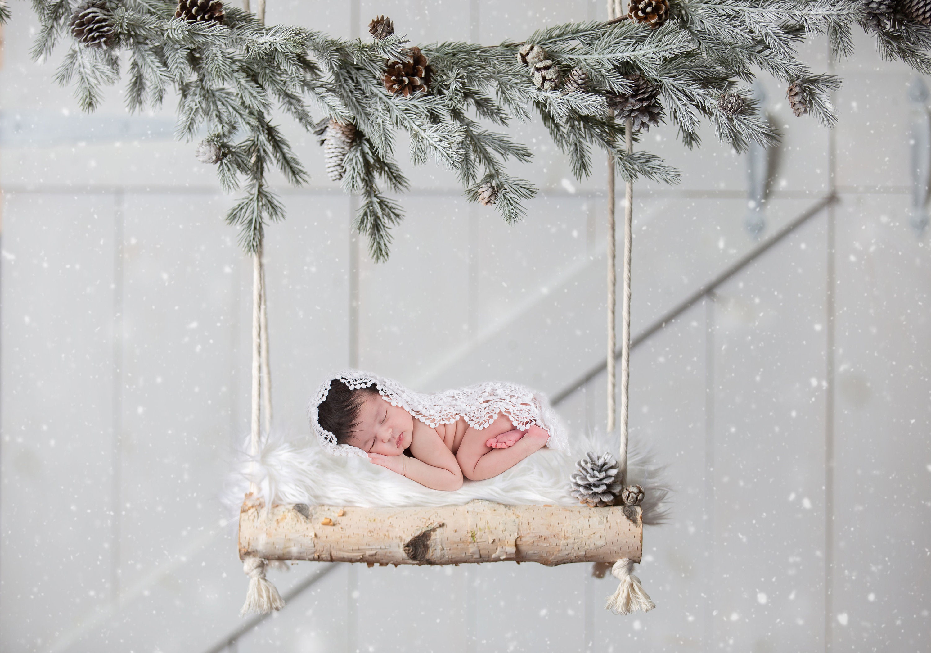 Digital Backdrop Newborn Winter Swing on a Pine Branch Newborn | Etsy