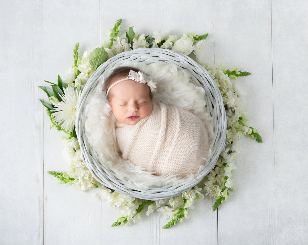 Digital Backdrop Newborn Digital Background Floral Wreath Nest on a ...