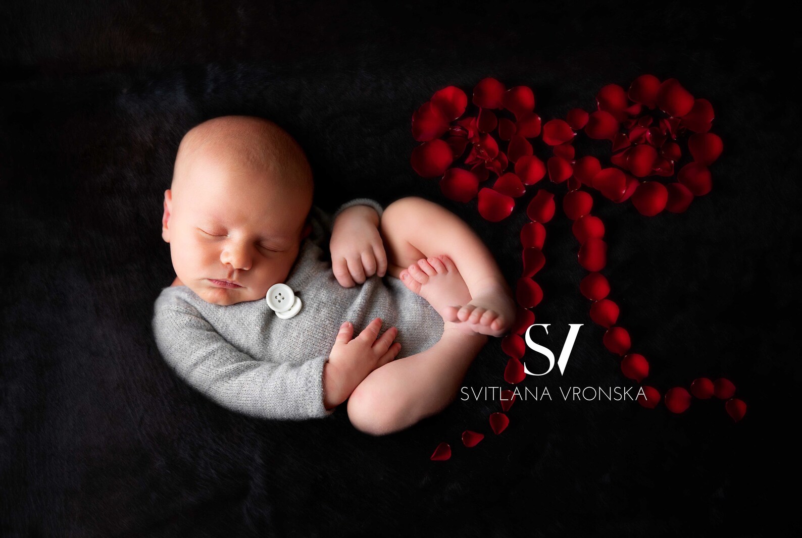 Newborn Digital Backdrop Red Rose Petals Bow Newborn Digital Background ...