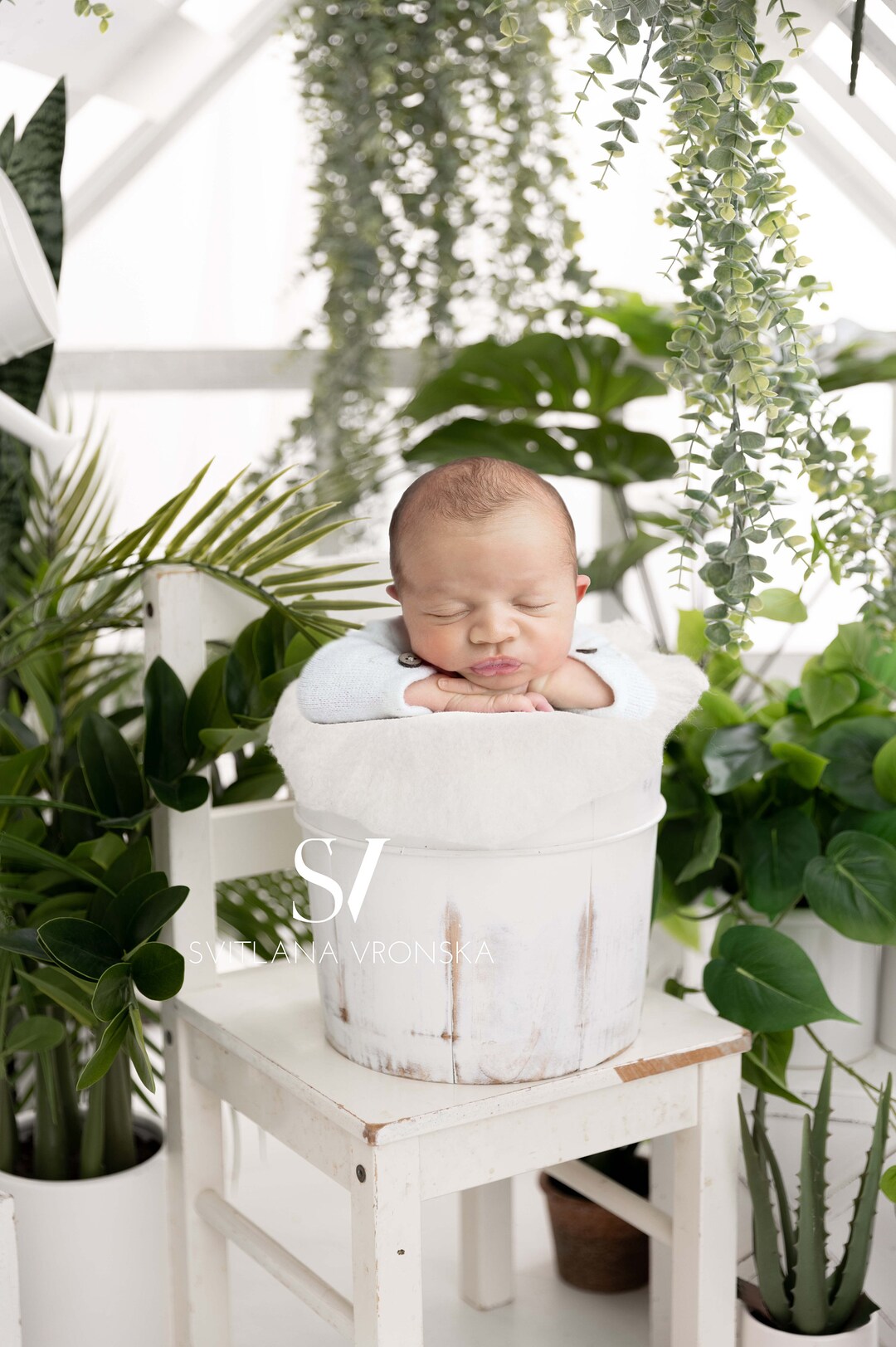 Newborn Digital Backdrop Wooden Bucket in a Green Garden, Newborn ...