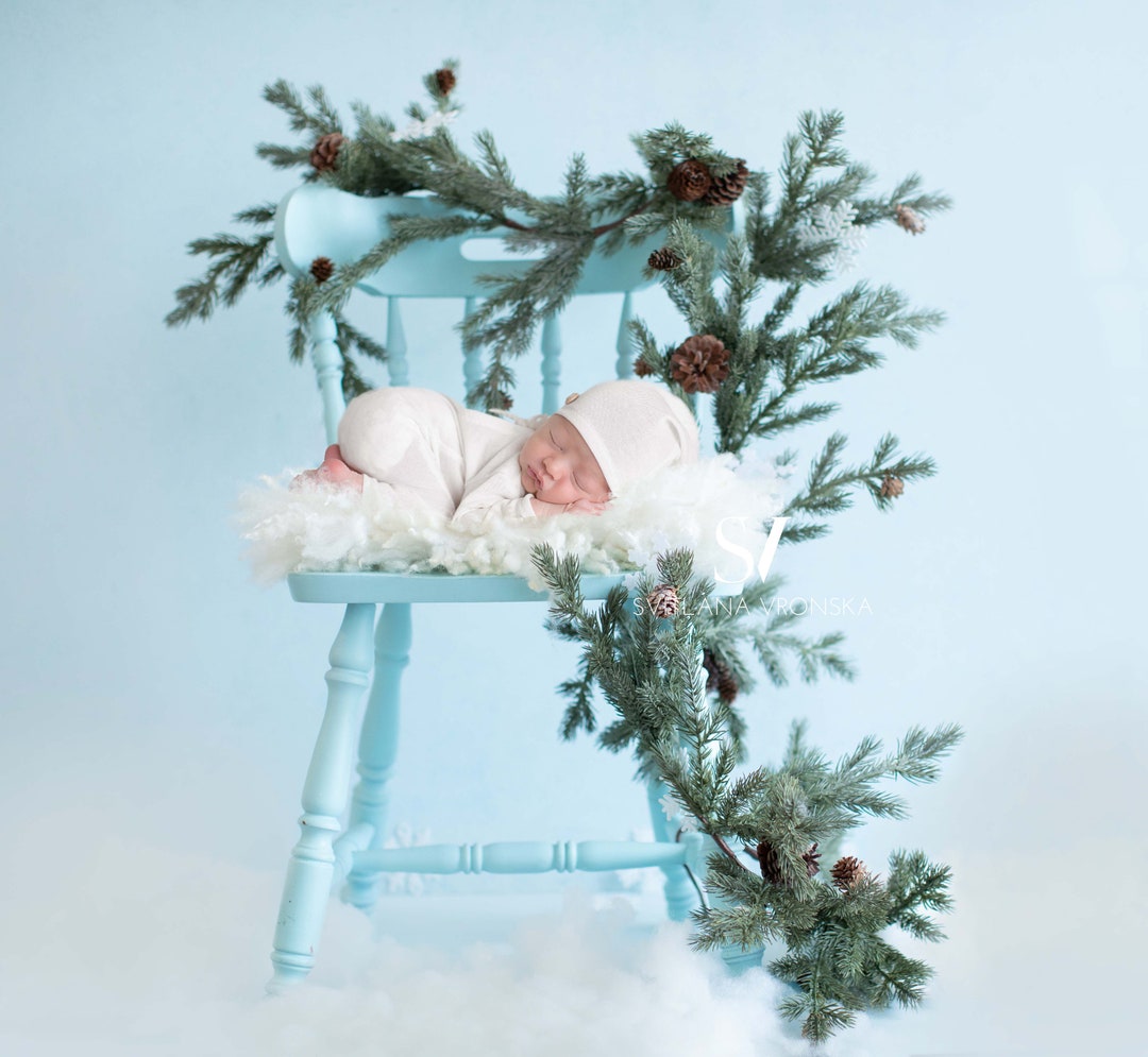Newborn Digital Backdrop Winter Chair With Fir-tree Branch Newborn ...