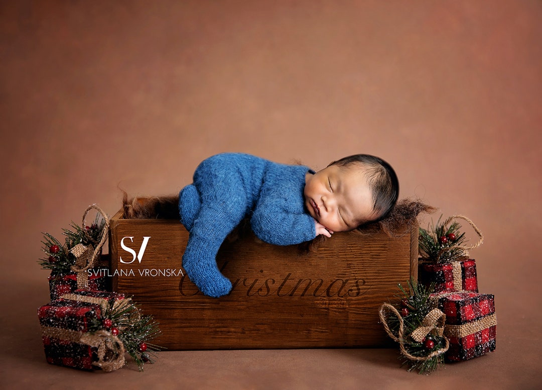 Newborn Digital Backdrop Christmas Backdrop for Newborn Photography ...