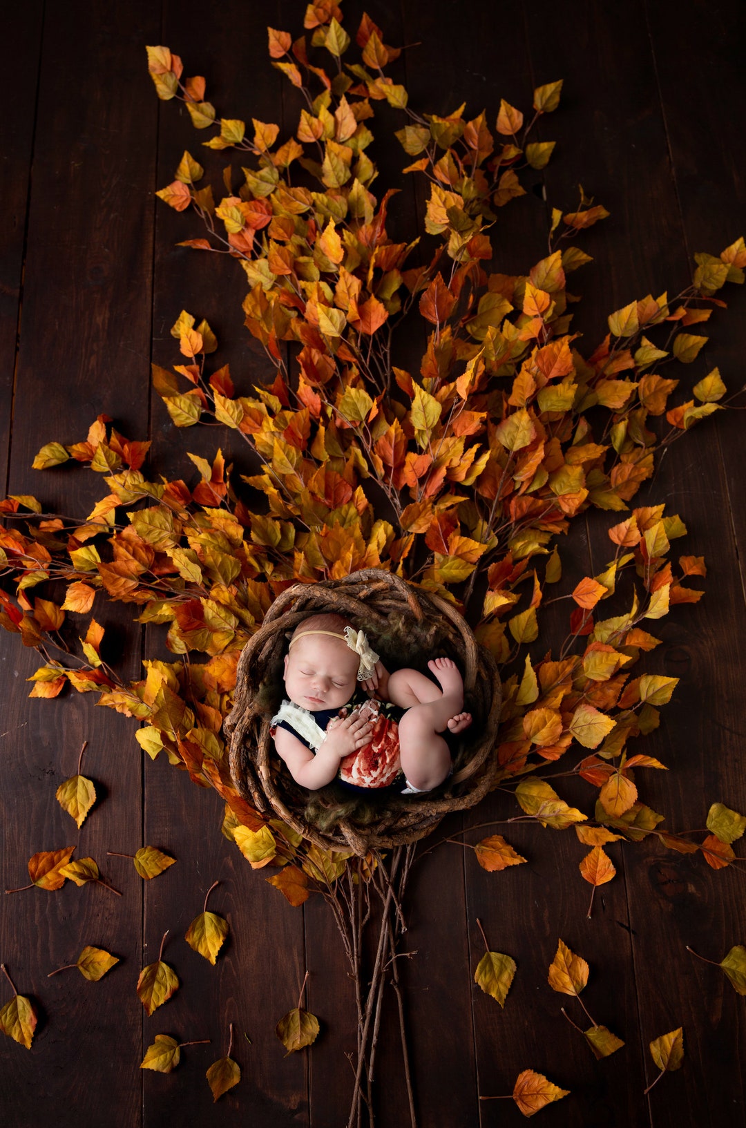 Newborn Digital Backdrop Autumn Leaves, Fall Tree Nest Newborn Digital ...