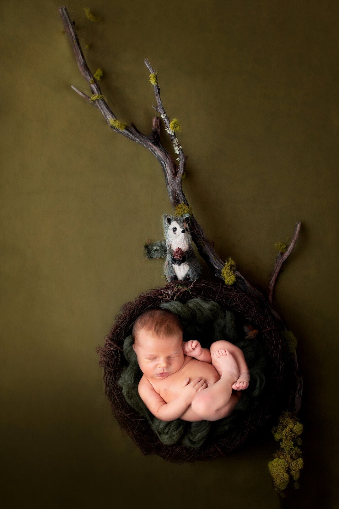 Digital Background Newborn Digital Backdrop Woodland Baby Nest Forest ...