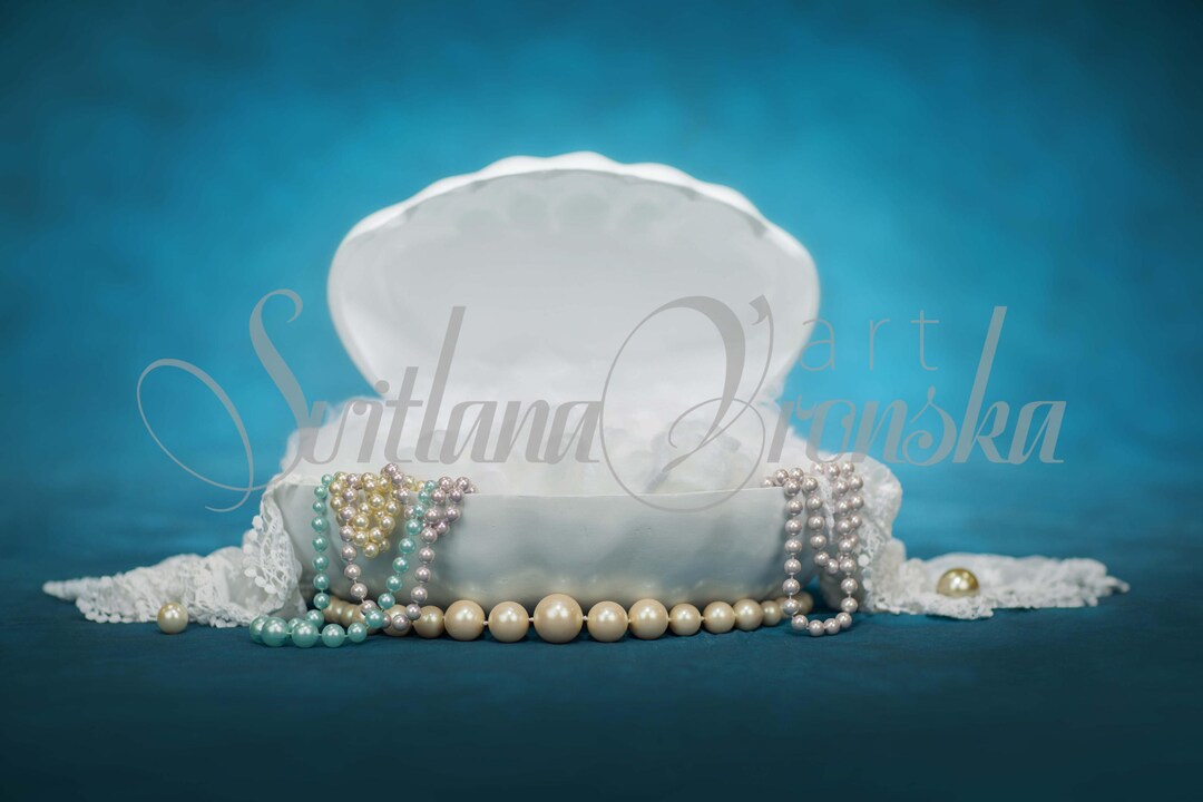White Clam Shell With Pearls Digital Backdrop - Digital Background ...