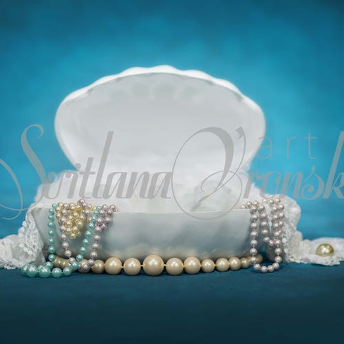 White Clam Shell With Pearls Digital Backdrop Digital - Etsy