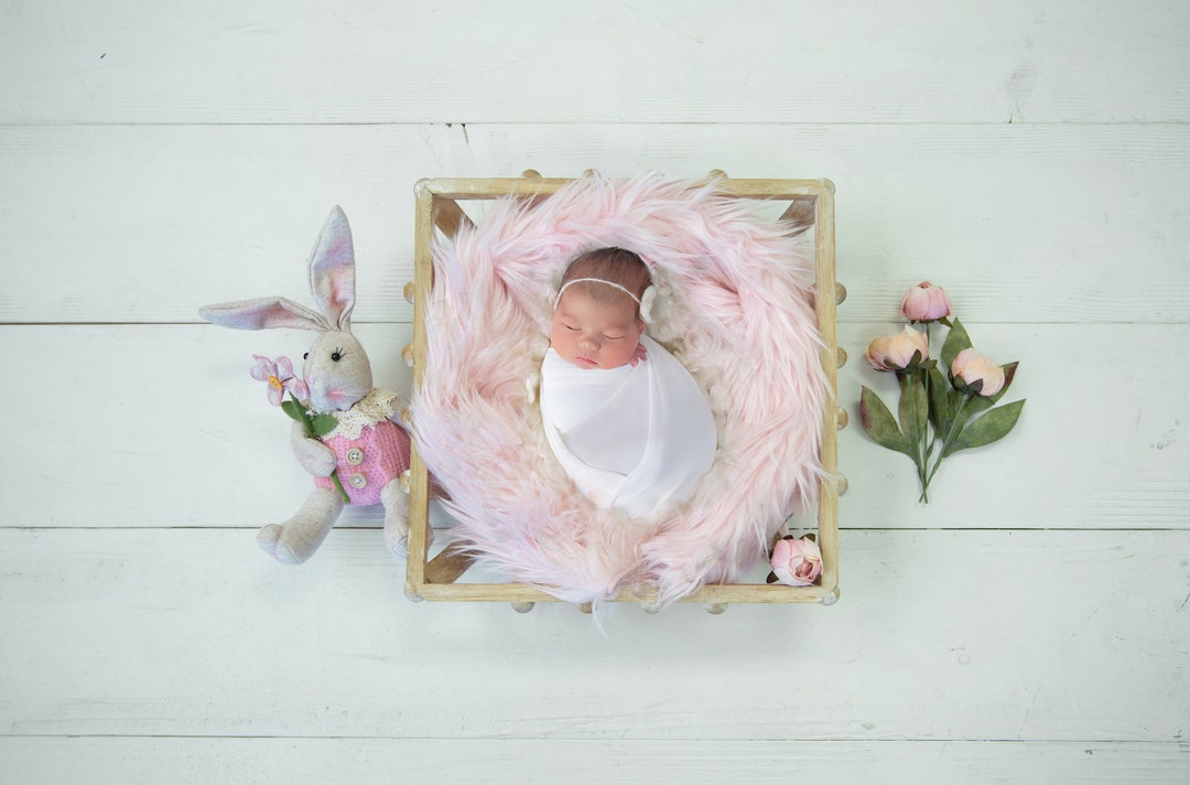 Beautiful Baby Nest Pink Fur Newborn Digital Backdrop Digital ...