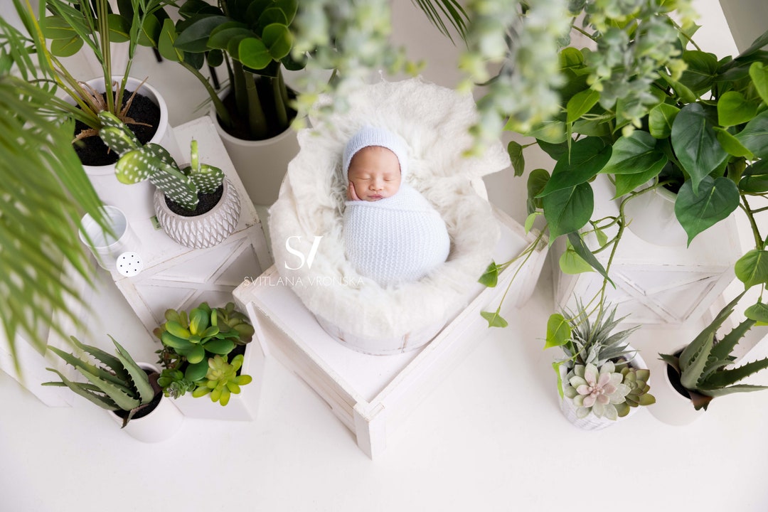 Newborn Digital Backdrop Plant Nursery Garden Newborn Digital ...